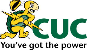 “Brain surgery” performed on live substation