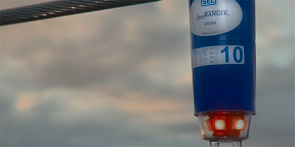 Fault Indicators and Sensors