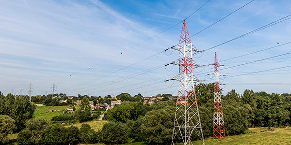 SEL 2020 Catalog Now Available